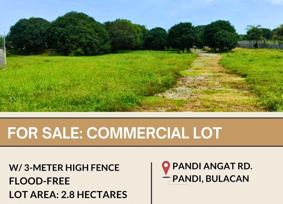 FOR SALE Commercial Lot located in Pandi Angat Road, Pandi, Bulacan ...