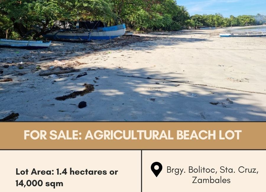 FOR SALE Agricultural Beach Lot located at Brgy. Bolitoc, Sta. Cruz ...