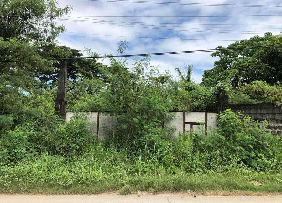 FOR SALE - Vacant Lot in Pandi Angat Road, Pandi, Bulacan | Lamudi.com.ph