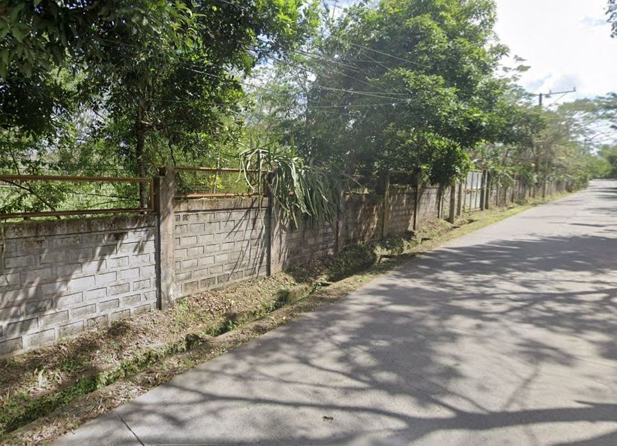 1.3 hectare vacant corner farm lot in Amadeo Cavite with concrete ...