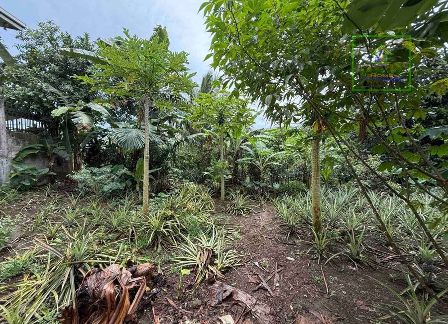 RESIDENTIAL LOT FOR SALE IN BUHO AMADEO, CAVITE | Lamudi.com.ph