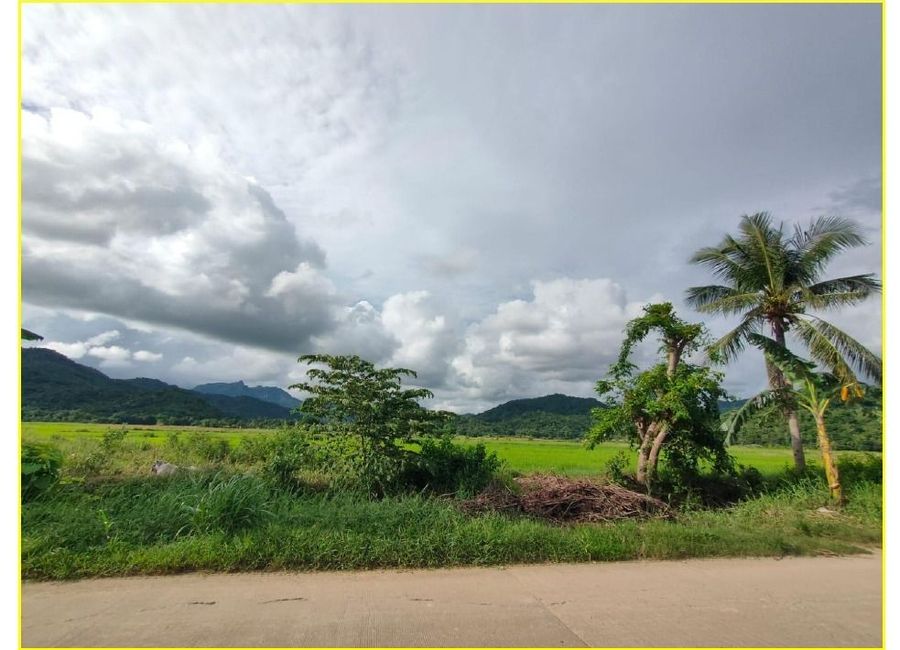 TITLED LOT IN NASUGBU BATANGAS PROPERTY - BULIHAN (Cruzado) | Lamudi.com.ph