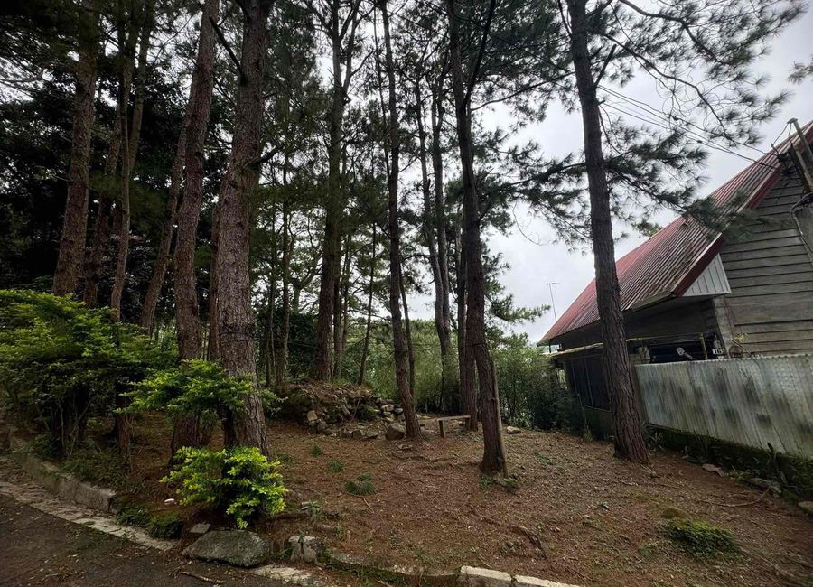 Vacant Lot for Sale in a Mini-subdivision in Baguio | Lamudi.com.ph