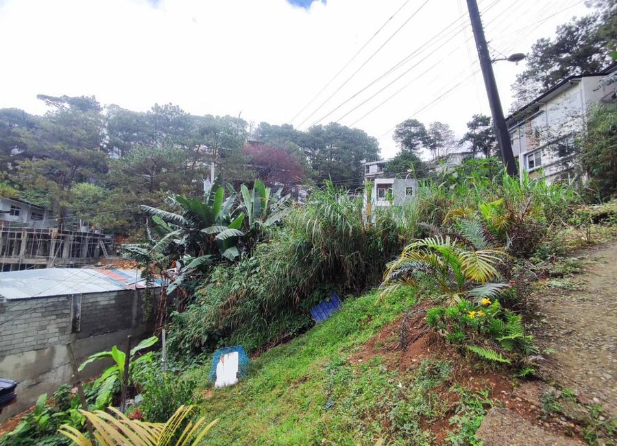 Clean Title 157 sqm LOT ONLY FOR SALE! Bermuda Hills San Luis Baguio ...