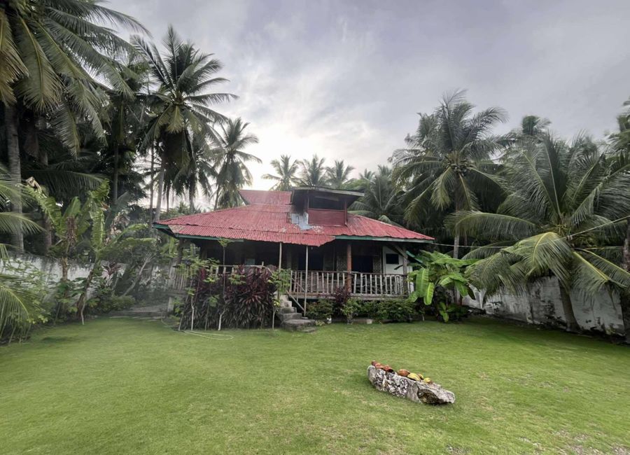Rare Find! 1,500sqm Beachfront Lot with Native House in Catmon, Cebu ...