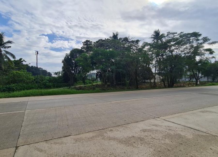 TAGBUROS LOT FOR SALE | Lamudi.com.ph