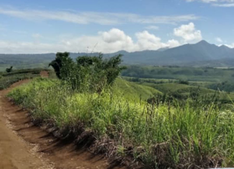 15-hectares farm lot for sale | Lamudi.com.ph