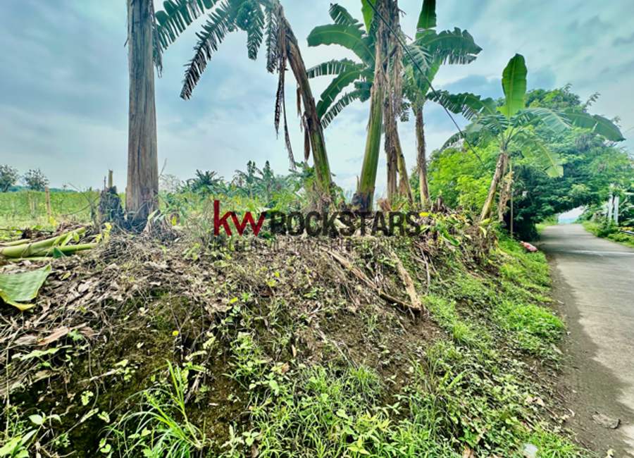 PRIME ASSET FOR SALE: 8-HA FARM IN BAGBAG, ALONG BAGUMBAYAN ROAD ...