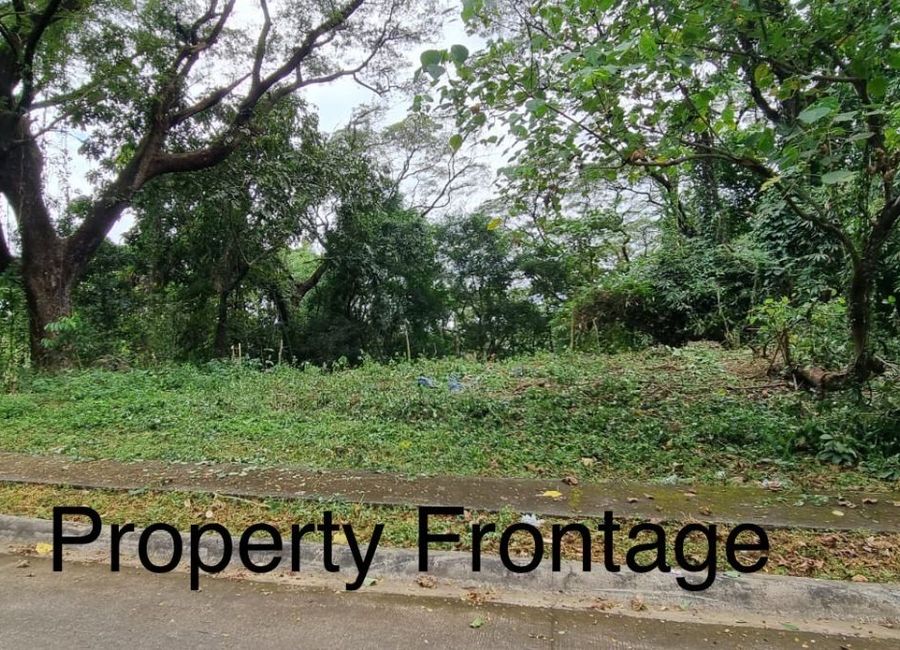Lot for Sale at Forest Farms, Havila, Angono, Rizal | Lamudi.com.ph
