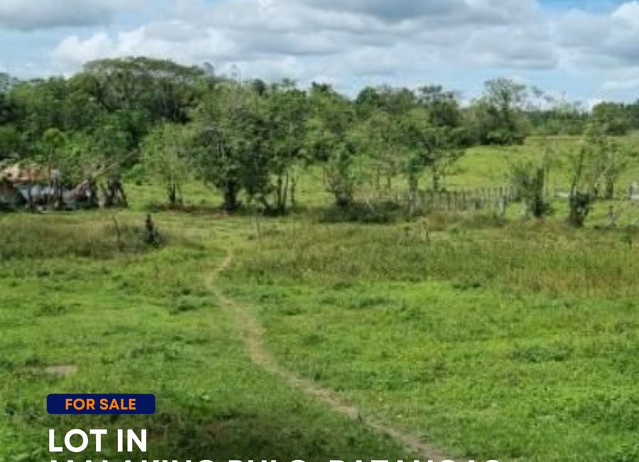 LOT IN MALAKING PULO | Lamudi.com.ph