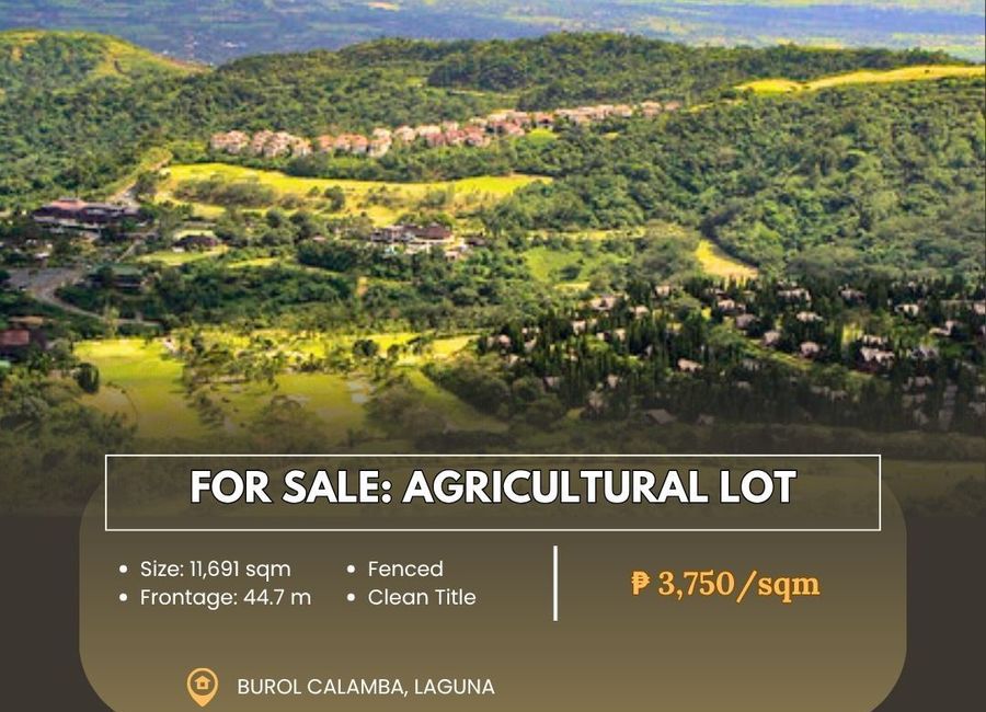 For Sale: Agricultural lot located at Burol Calamba, Laguna | Lamudi.com.ph