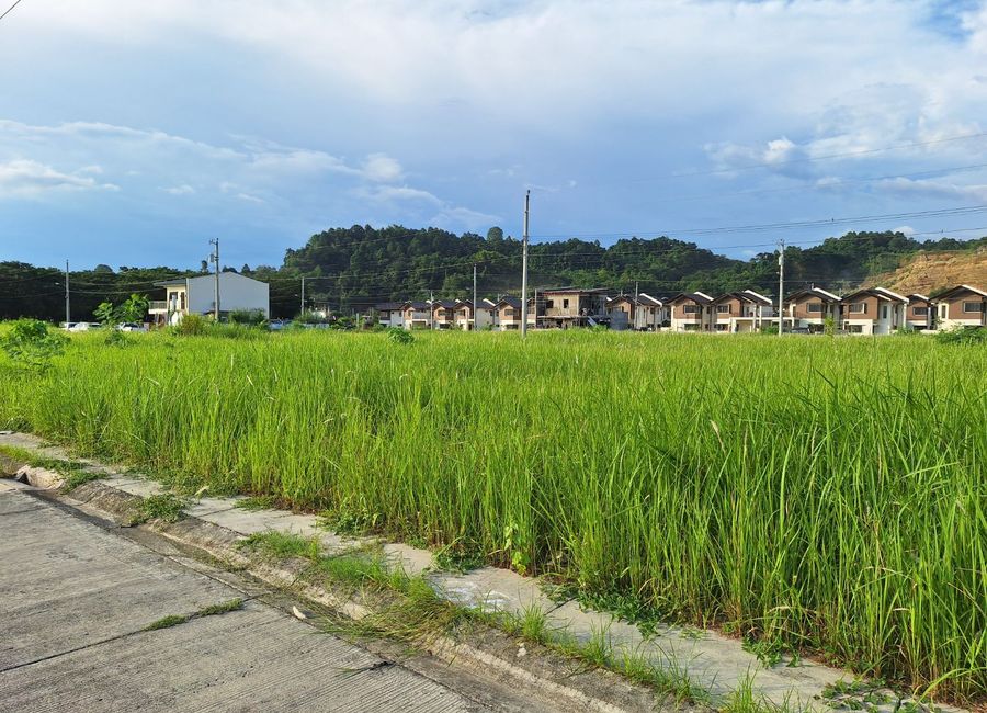 For Sale Lot at Durian St., Narra Park Residences Tigatto, Buhangin ...
