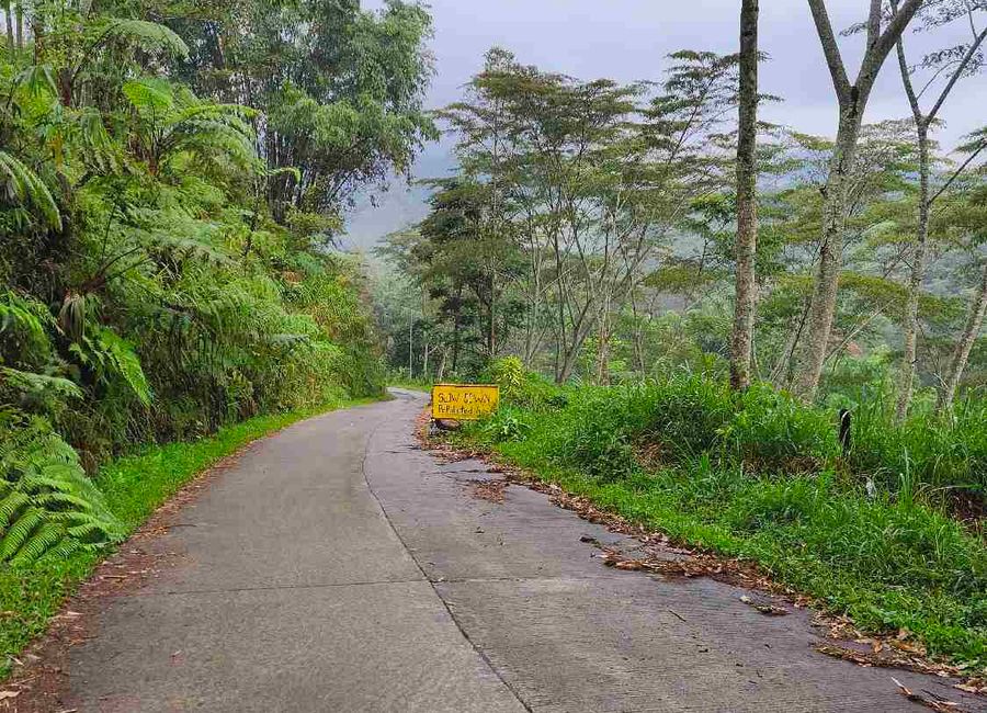 Farm Lot for Sale in Dahilayan, Manolo Fortich Bukidnon... | Lamudi.com.ph