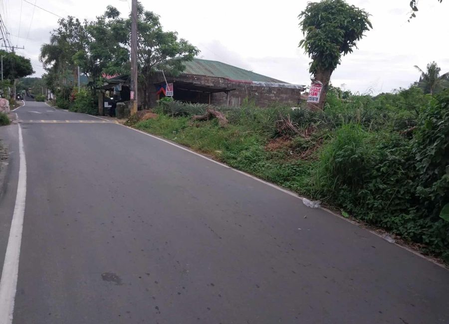 Lot along SVD Road, Maitim 2nd East, Tagaytay for SALE! 504 sqm at 9.5M ...
