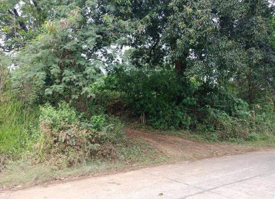 Lot for sale in Hermosa, Mabiga, Bataan | Lamudi.com.ph