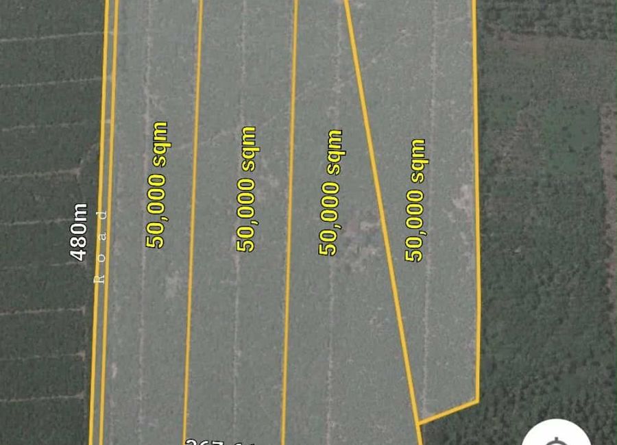 20 HECTARE LAND IN CALINAN BEST FOR SUBDIVISION FOR SALE | Lamudi.com.ph