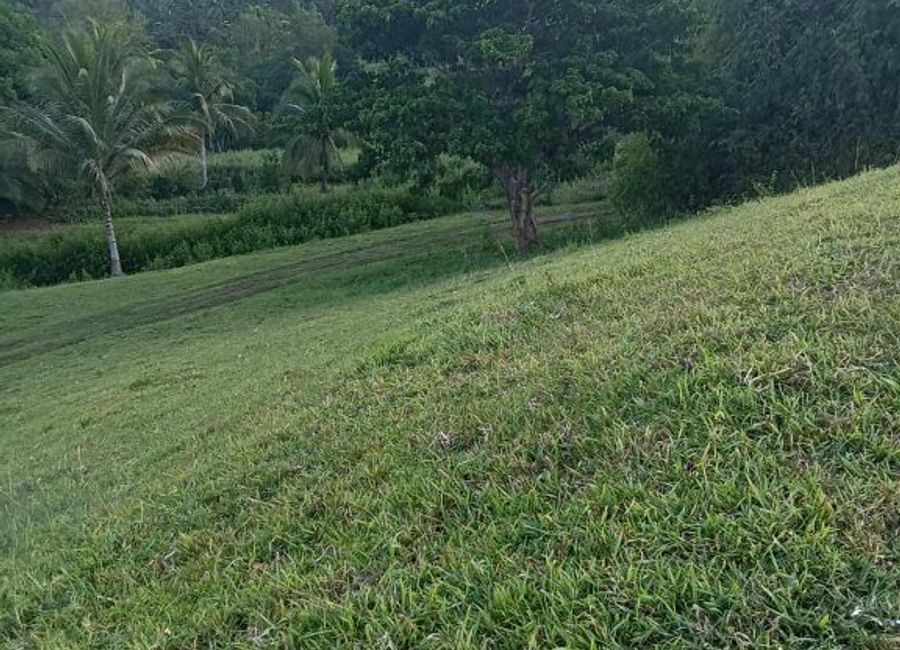 7.4-hectare farm in Brgy. Luzviminda has 360° overlooking views ...