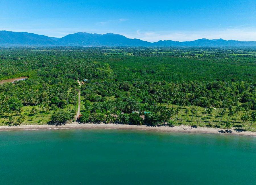 Beach Lot Property For Sale in Palawan near Puerto Princesa | Lamudi.com.ph