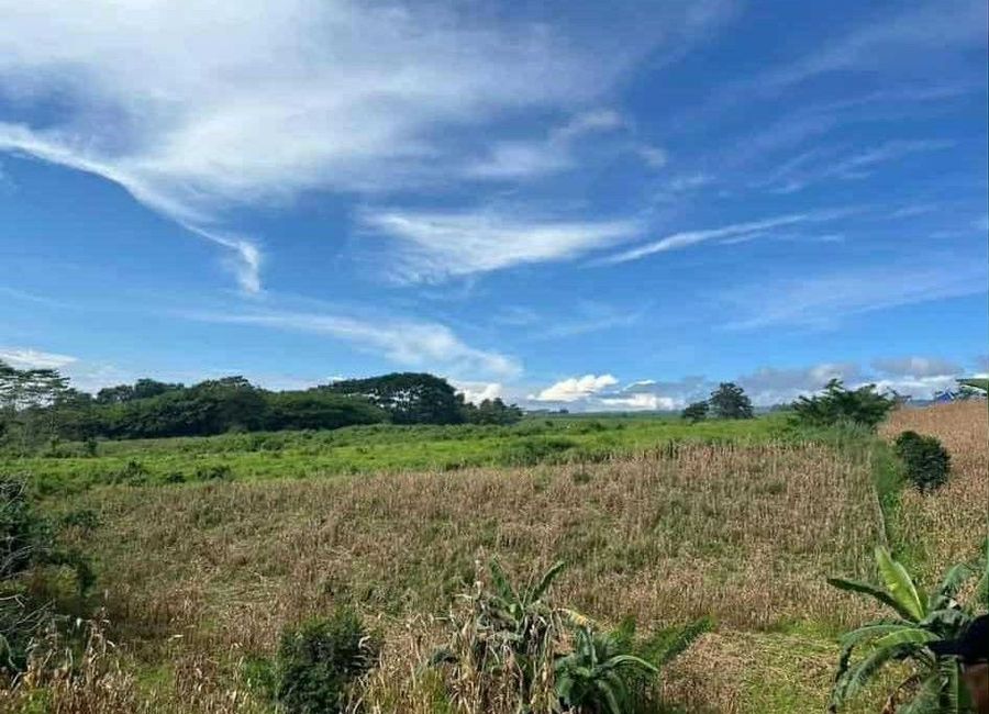 5 hectares Casisang Malaybalay Bukidnon | Lamudi.com.ph