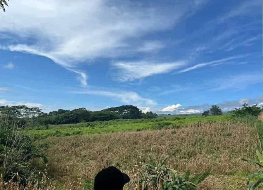 5 hectares Casisang Malaybalay Bukidnon | Lamudi.com.ph