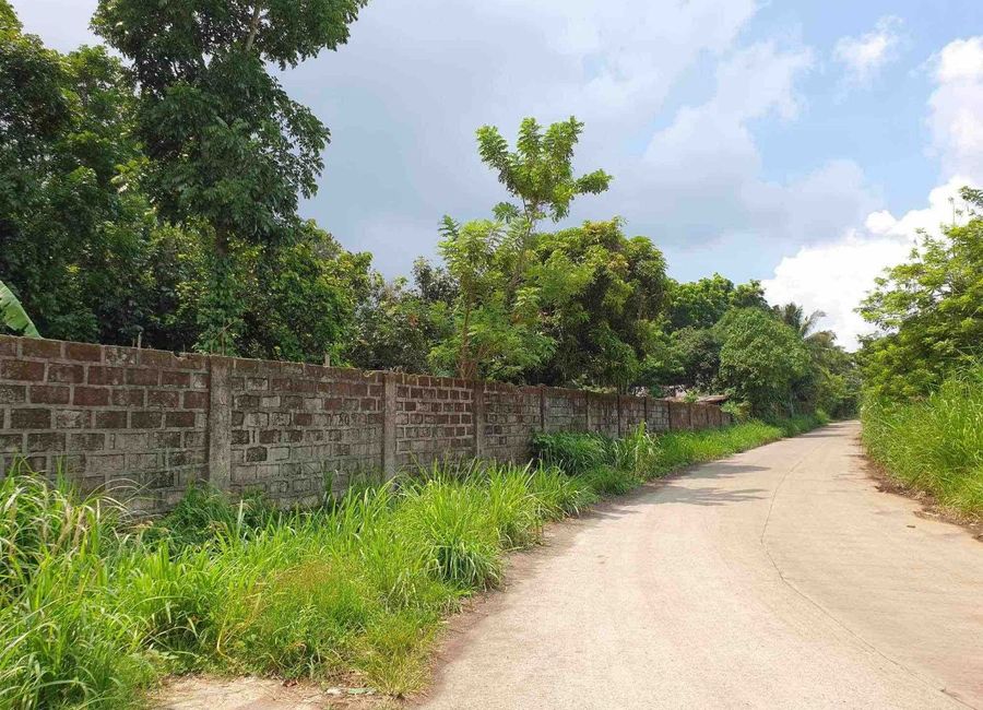 Lot For Sale in Mahabang Kahoy Indang Cavite-MC | Lamudi.com.ph