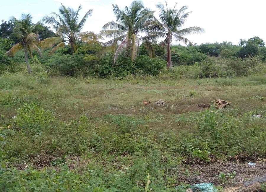 8Ha Bogo Cebu Commercial Land for Sale | Lamudi.com.ph