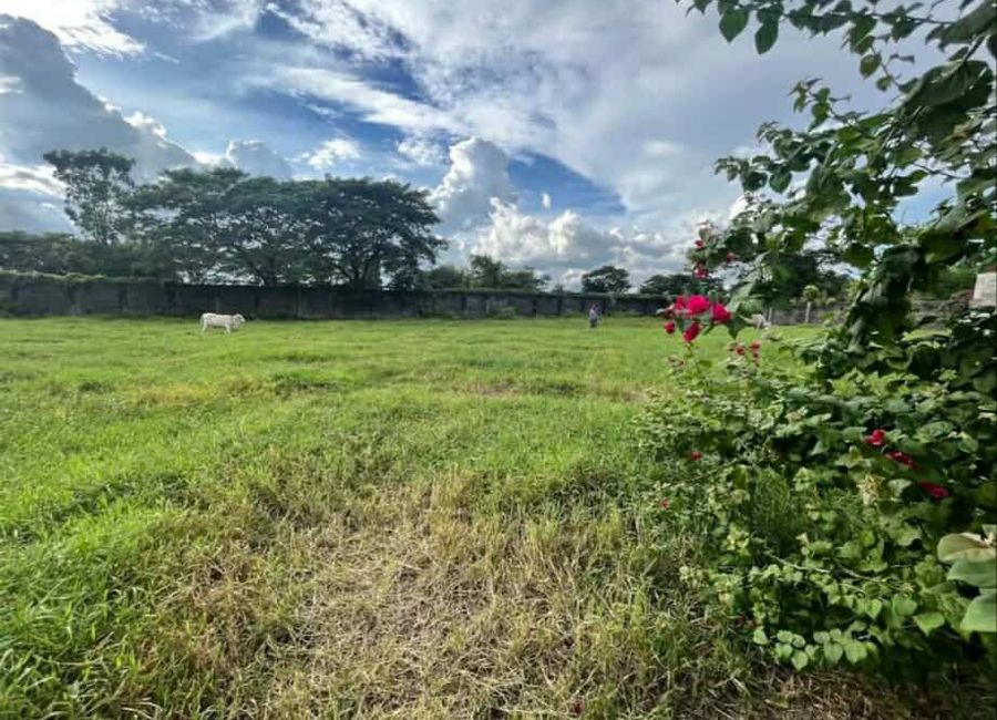 Residential Lot 677 sqm Clean title with Mt. Arayat view for Sale in ...