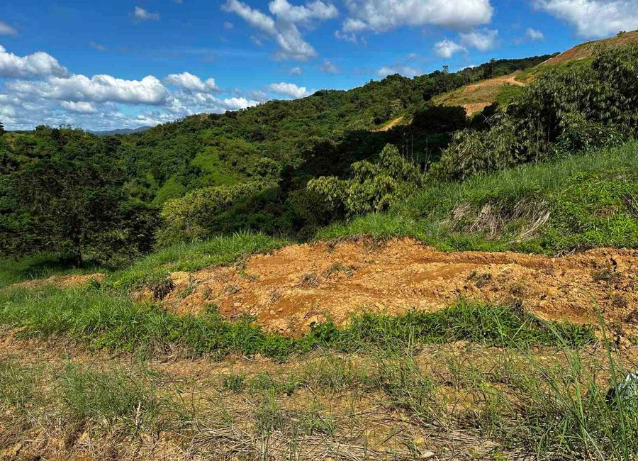 Foreclosed Property - 677 sqm for Sale Lot 4 Block 25 in Amiya Raya ...