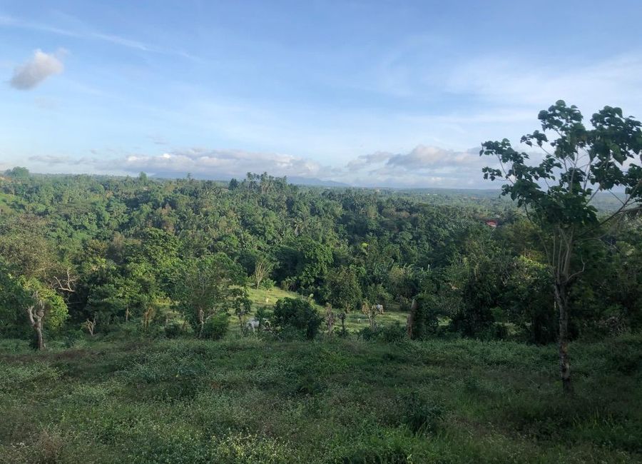 Enjoy peace and quiet w/ views of Taal Lake, Mt. Makulot and Mt ...