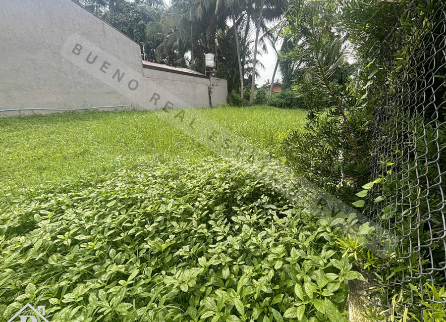 Banaba West Batangas City, Lot For Sale 300 sqm | Lamudi.com.ph