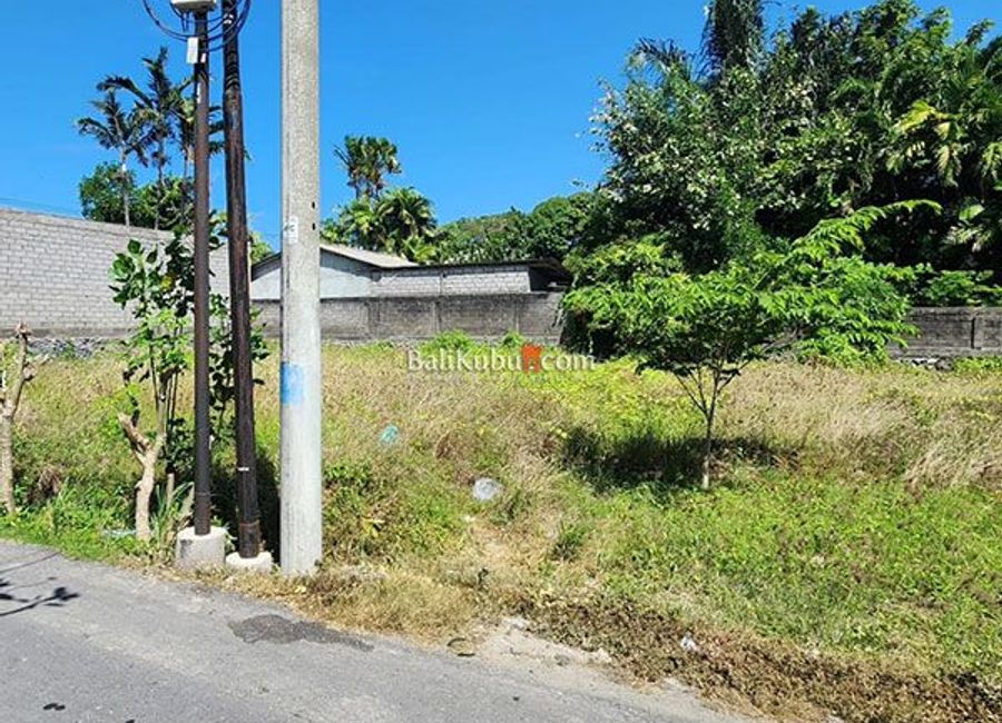 (LSH-010.IWS) Sewa Tanah Kavling 10 Are di Tukad Balian Renon Denpasar ...