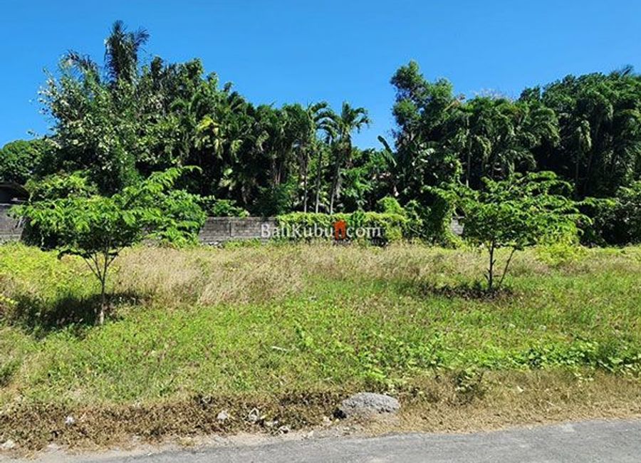 (LSH-010.IWS) Sewa Tanah Kavling 10 Are di Tukad Balian Renon Denpasar ...