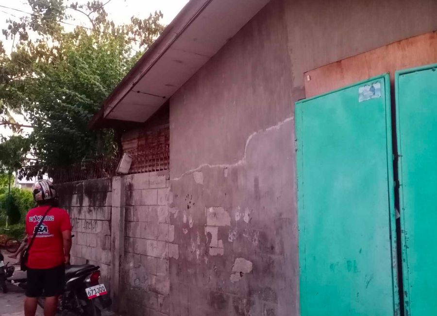 HOUSE and LOT for SALE (1000 sq meter) | Lamudi.com.ph