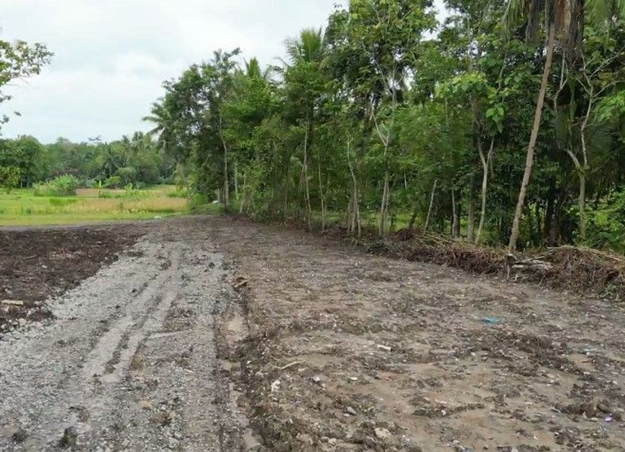 Tanah Dijual Dekat Exit Tol Sentolo | Lamudi.co.id