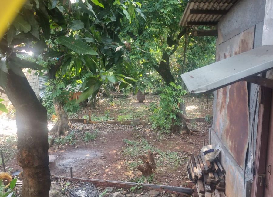 JUAL RUMAH PINGGIR JALAN RAYA COCOK UTK USAHA DI CAMAN JAKARTA TIMJR ...