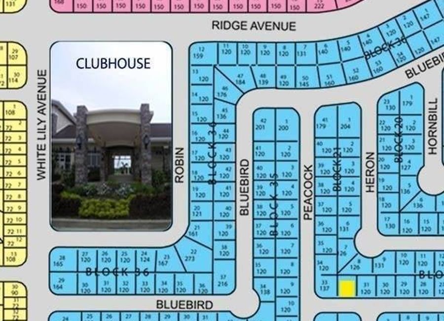 Lot for Sale at Carmel Ridge in Calamba Laguna | Lamudi.com.ph