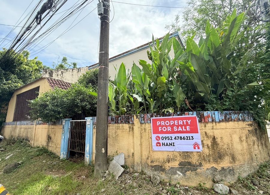 FOR SALE! BAYANIHAN VILLAGE, BF HOMES PARANAQUE PROPERTY! | Lamudi.com.ph