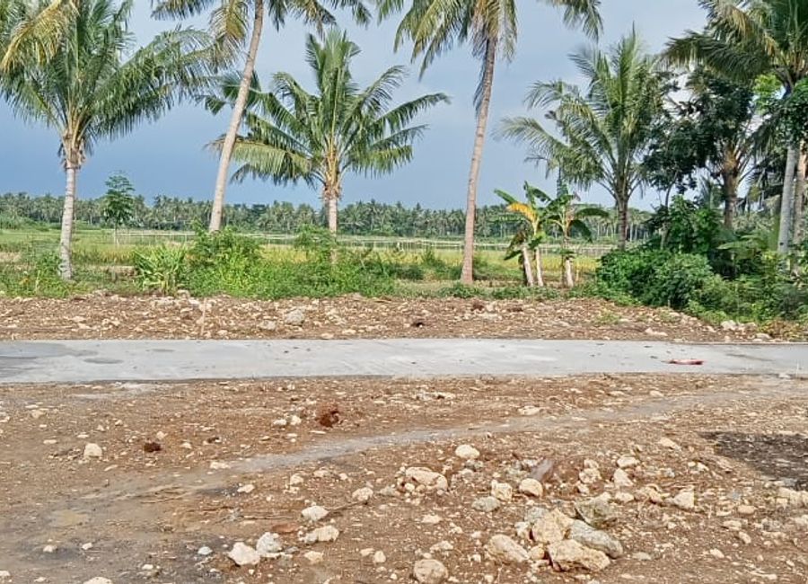 Tanah Dijual Strategis di Tawangsari Pengasih Kulon Progo, Dekat KPP ...