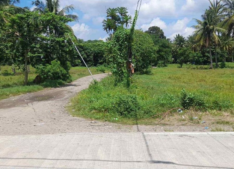 FOR SALE Vacant Lot in Conception Palasan Purok 2 Sariaya, Quezon ...