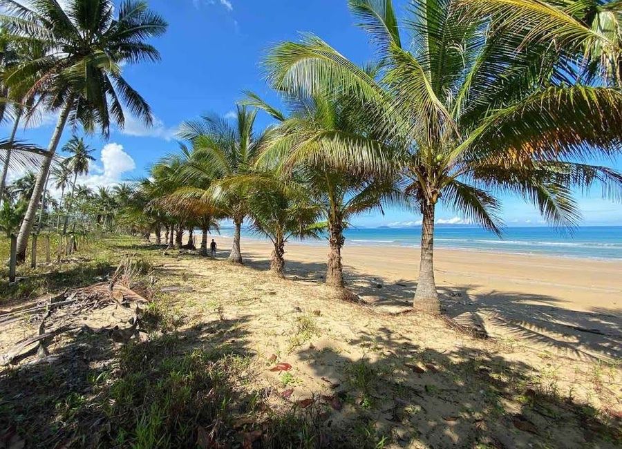 Beach Lot for Sale in Palawan | Lamudi.com.ph