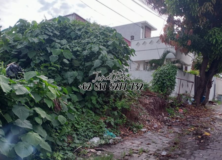 Tanah Kawasan Villa di Jalan Intan Permai Kerobokan Dekat Seminyak dan ...