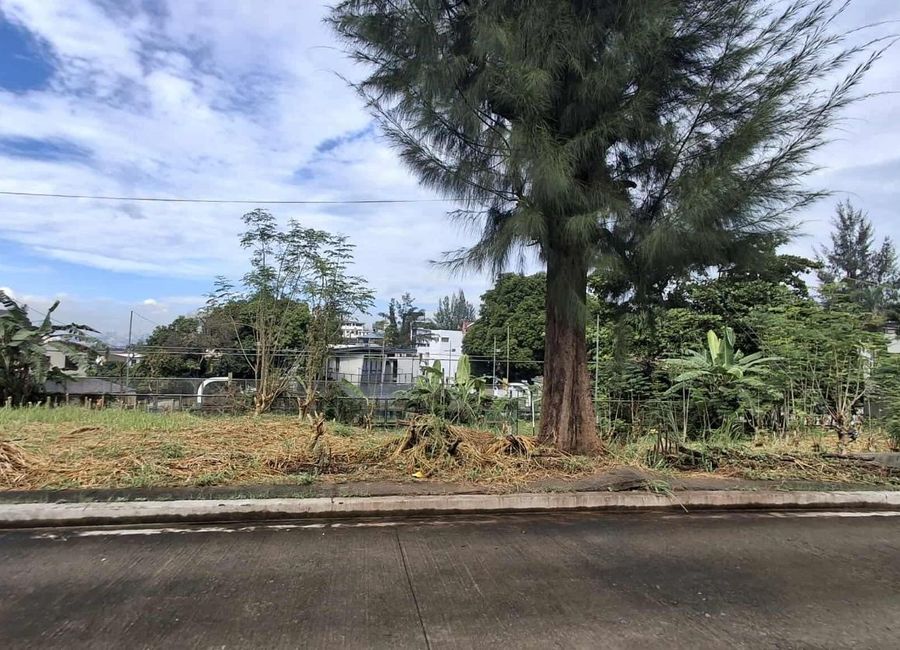 Prime Lot Across the Clubhouse | Scenic View in Ponte Verde, Antipolo ...