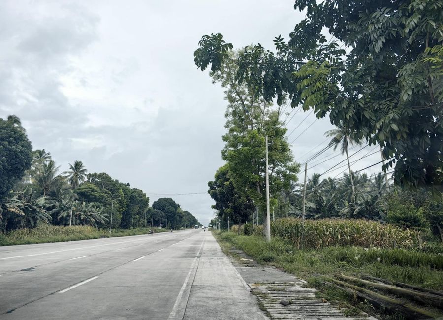 POLOMOLOK SOUTH COTABATO ALONG NATIONAL HIGHWAY | Lamudi.com.ph