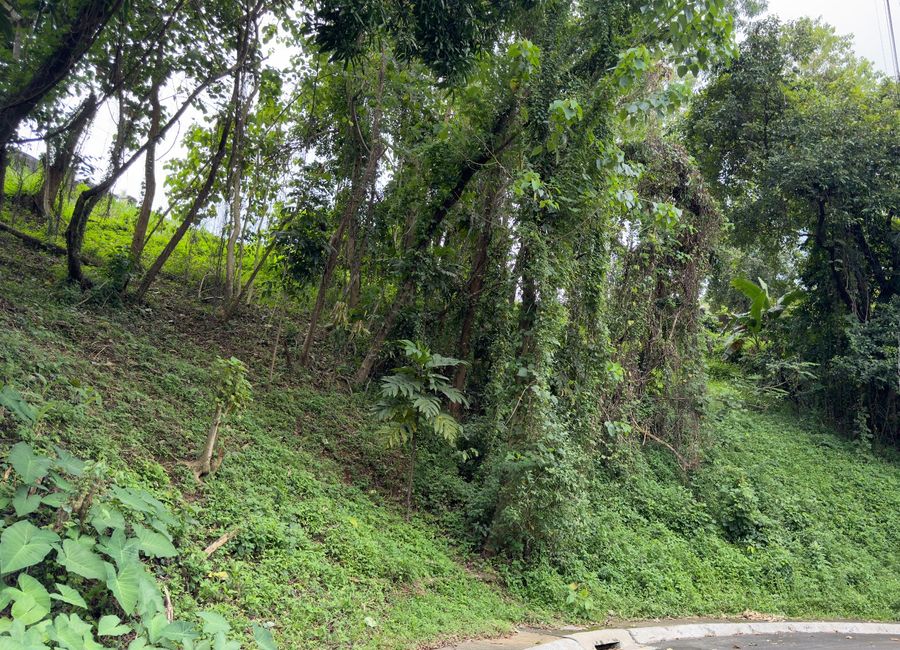 Elevated Corner Lot for Sale in Banyan Crest, Timberland Heights – 721 ...