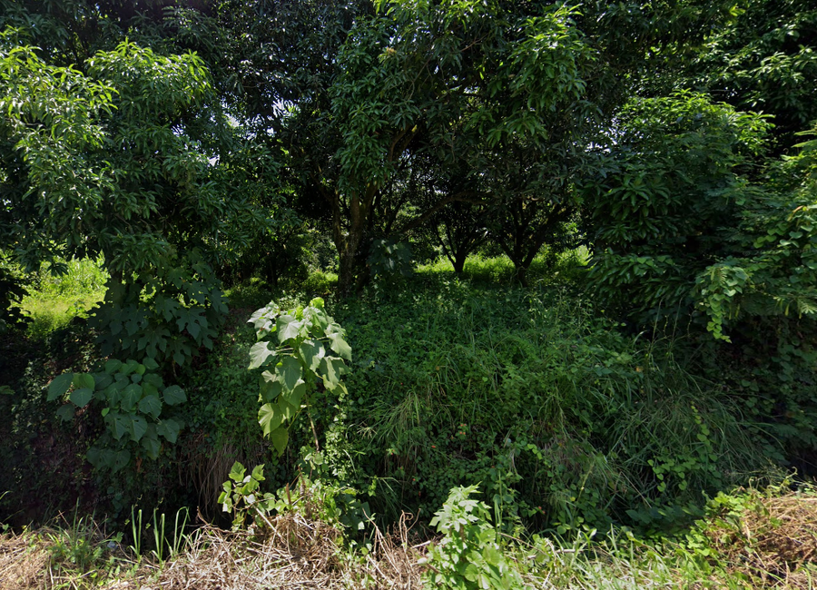 FOR SALE OR JOINT VENTURE - Agricultural Land in Davao-Digos Road, Brgy ...