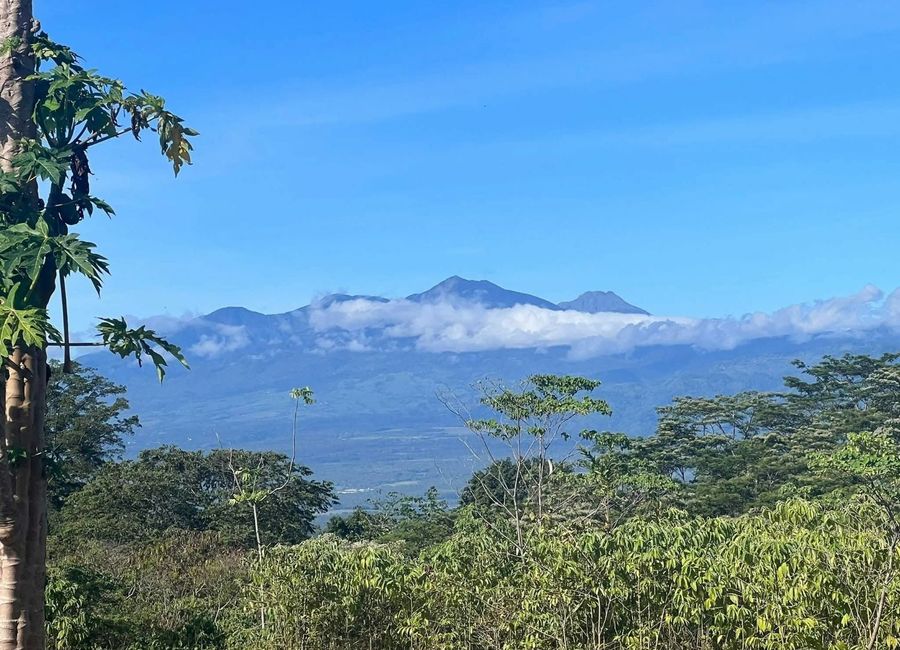 1,075sqm LOT FOR SALE: 900k OVERLOOKING MINI FARM IN CALINAN! | Lamudi ...