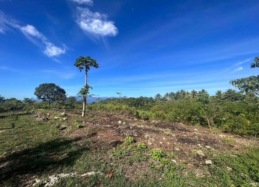 1,075sqm LOT FOR SALE: 900k OVERLOOKING MINI FARM IN CALINAN! | Lamudi ...