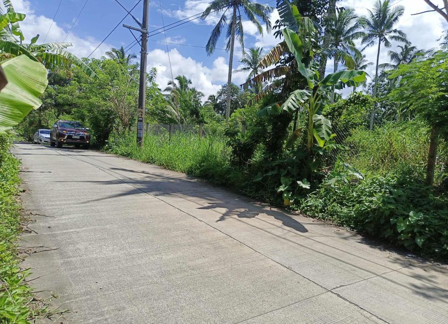 3,600 sqm Lot with 100 meters FRONTAGE at Bgy. Kaysuyo, Alfonso Cavite ...