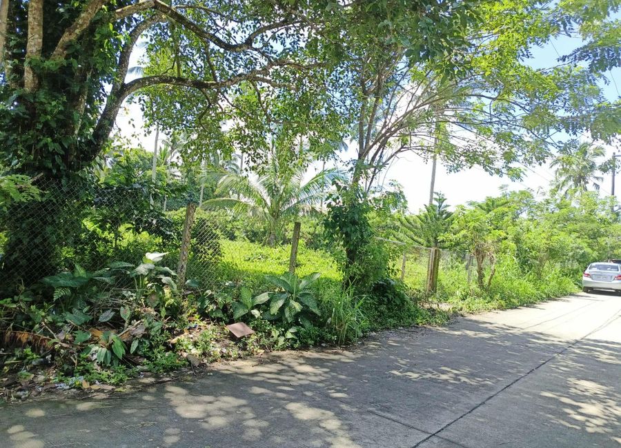 3,600 sqm Lot with 100 meters FRONTAGE at Bgy. Kaysuyo, Alfonso Cavite ...