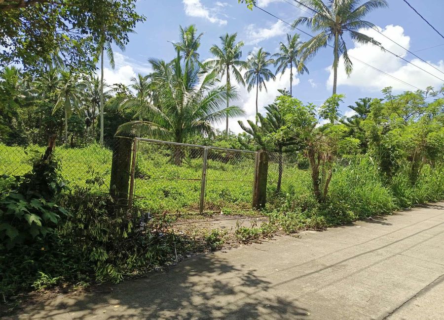 3,600 sqm Lot with 100 meters FRONTAGE at Bgy. Kaysuyo, Alfonso Cavite ...